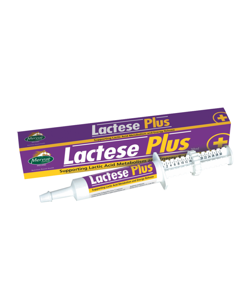 Lactese Plus- Supporting lactic acid metabolism - Mervue.ie
